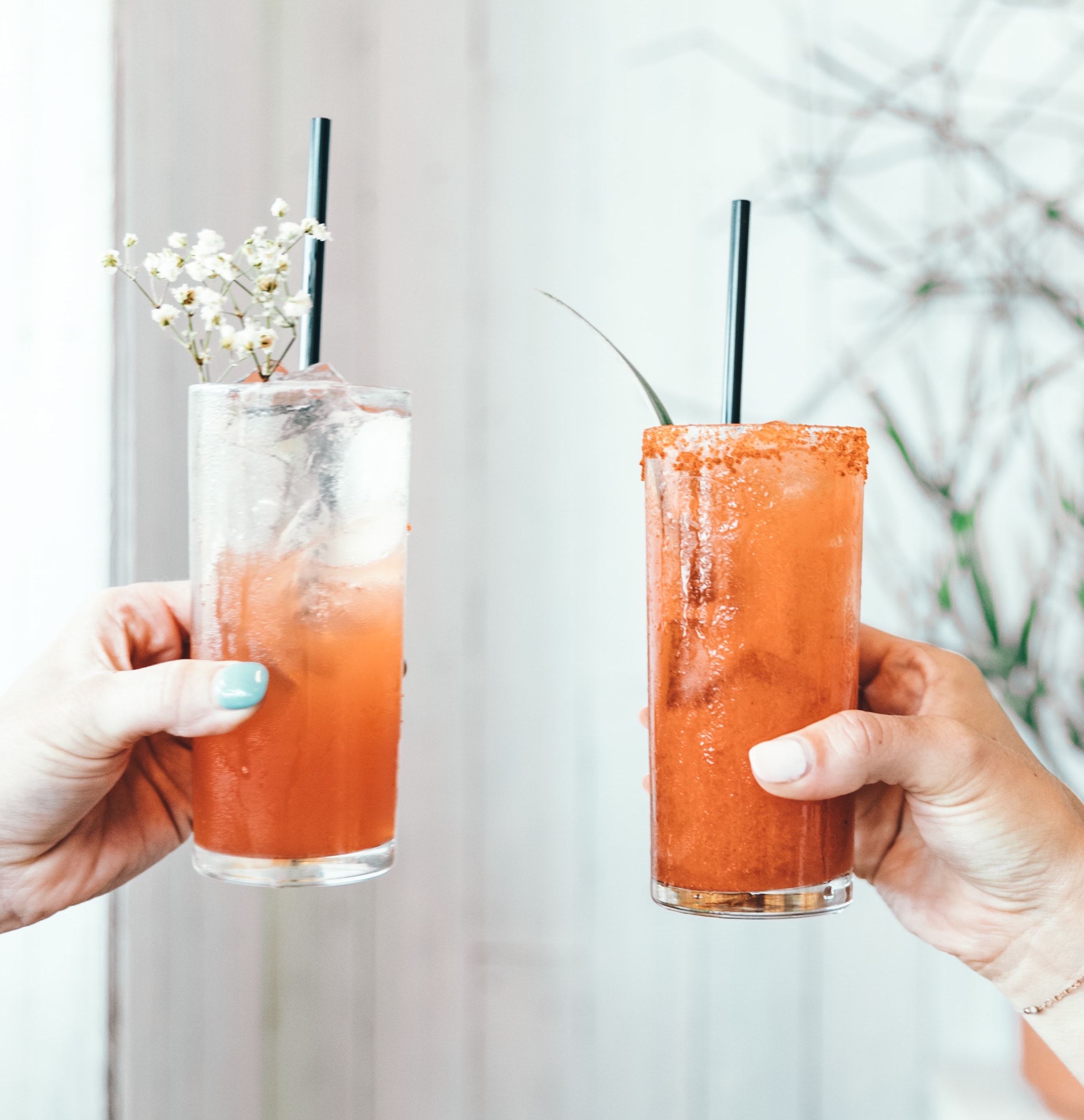 Contact - Ready Set Host